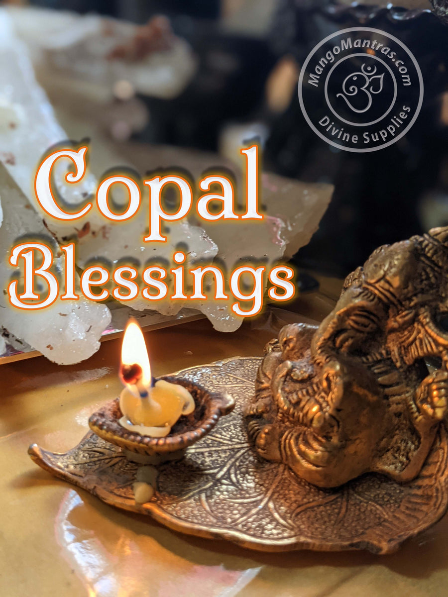 Highest Grade Fresh Unprocessed White Copal: Copal de la Penca 100% Pu ...